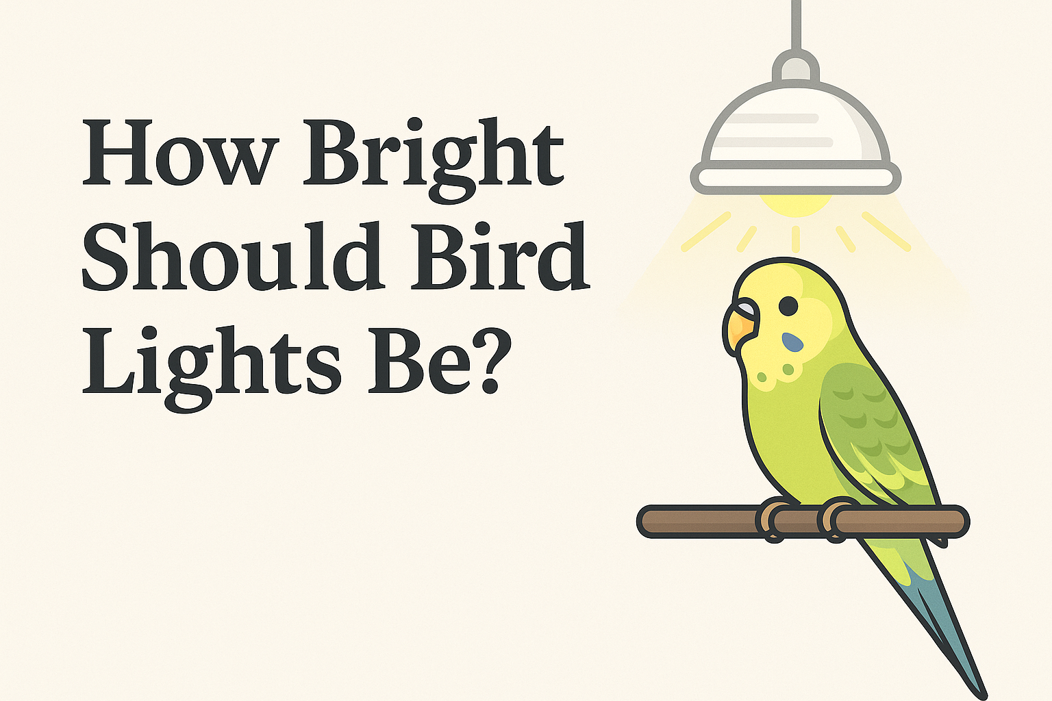 How Bright Should Bird Lights Be? – M&M Cage Company
