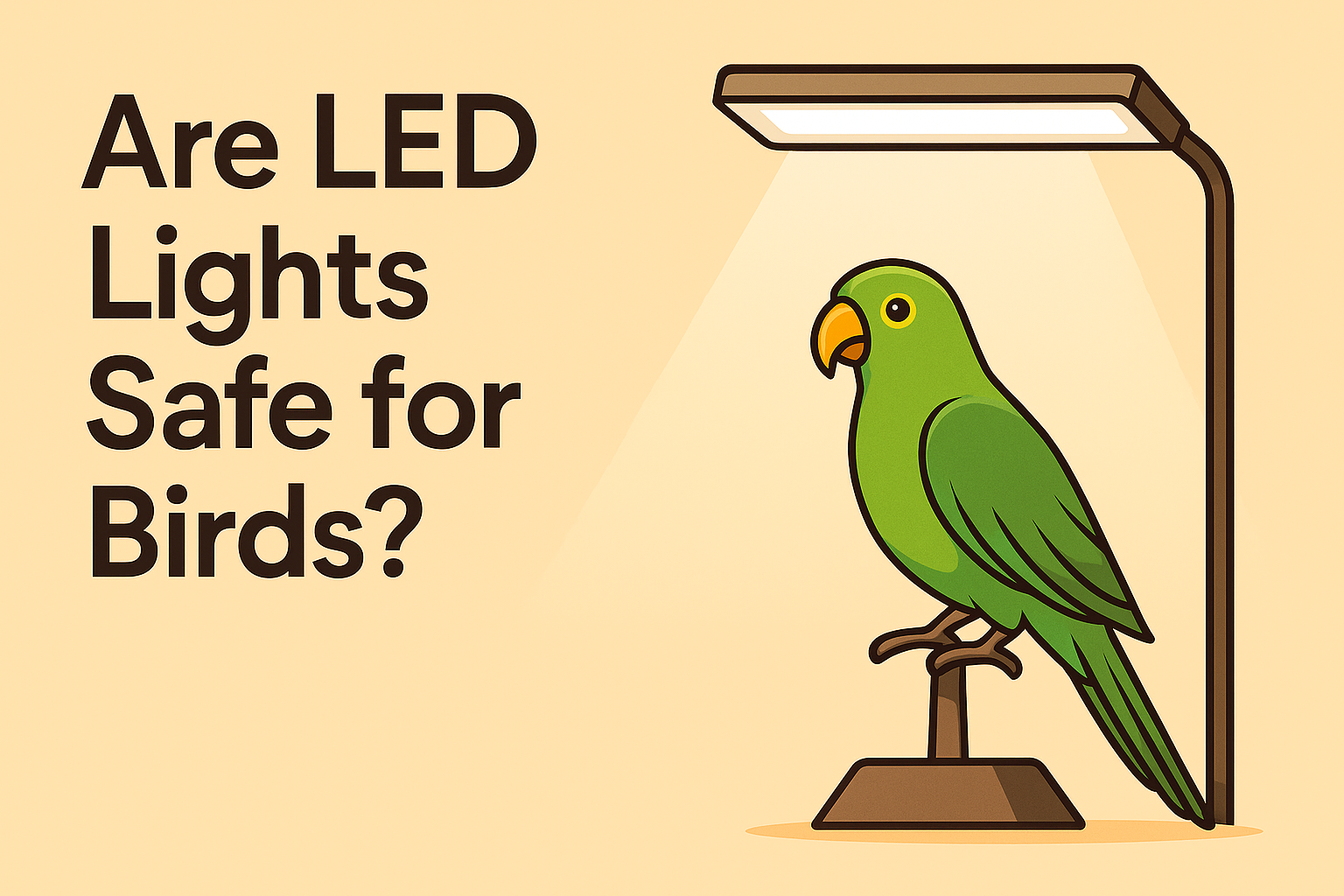 Are LED Lights Safe for Birds? What Bird Owners Need to Know – M&M Cage ...