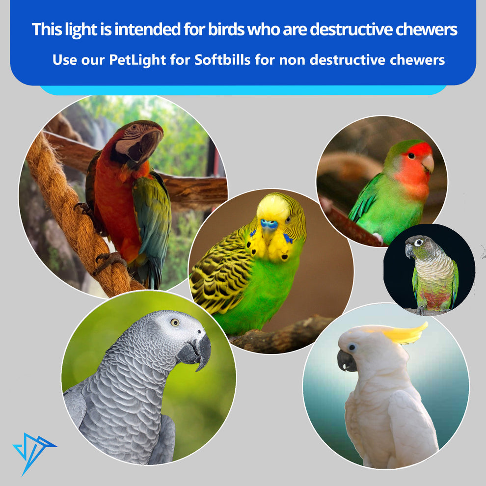 PetLight with Chew Guard – Durable LED Light for Birds – M&M Cage Company