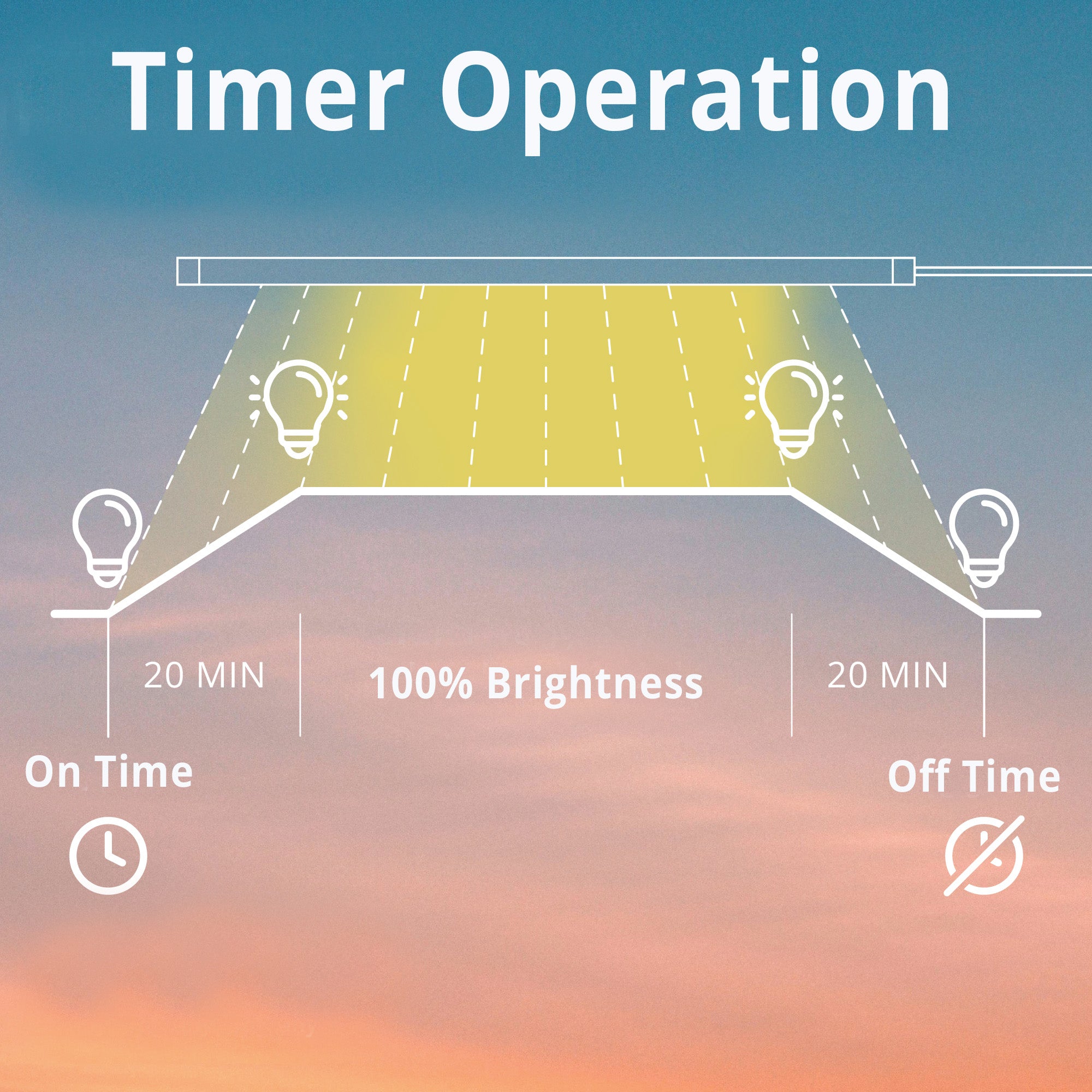 Sunrise/Sunset Timer – M&M Cage Company