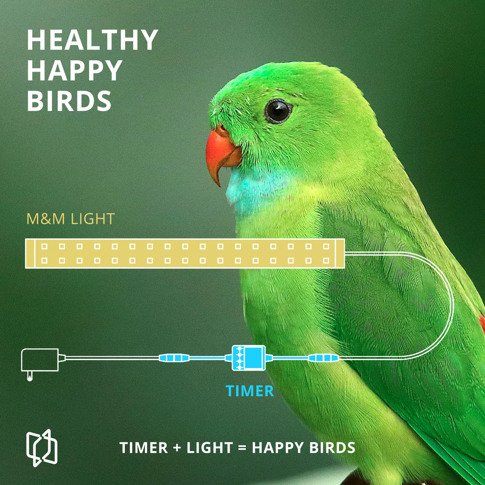 Sunrise & Sunset Timer for Bird Lights | M&M Cage Company