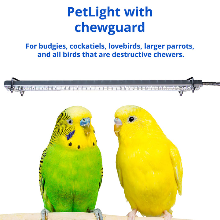 Premium Bird Cage Lights – Safe LED Lighting for Birds | M&M Cage Comp ...