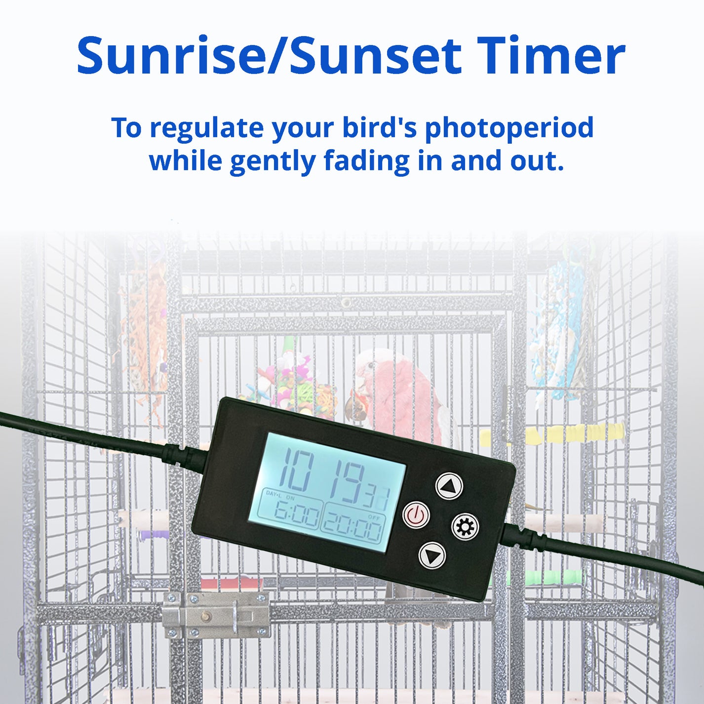 Sunrise/Sunset Timer – M&M Cage Company