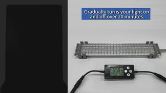 Sunrise & Sunset Timer for Bird Lights | M&M Cage Company